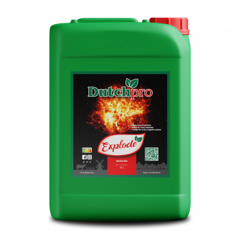 Dutch Pro Explode Booster 10L | Green-Liberty